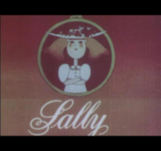 Ficha técnica completa - Sally - 1976 | Filmow