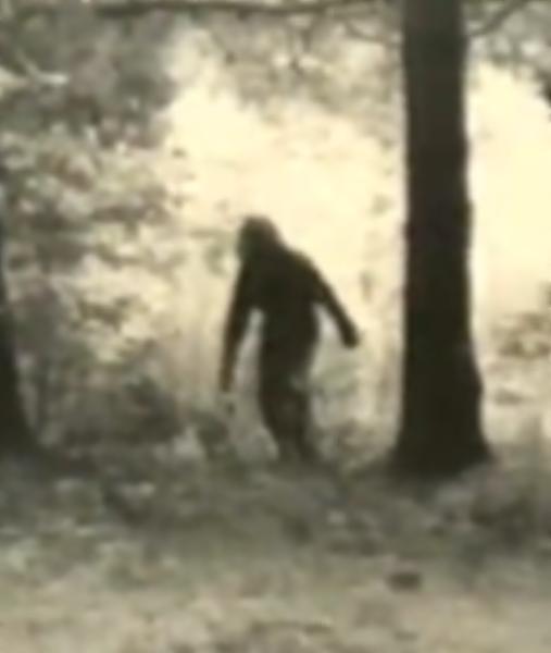 Ficha técnica completa - The Revenge of the Goonie Monster - 24 de ...