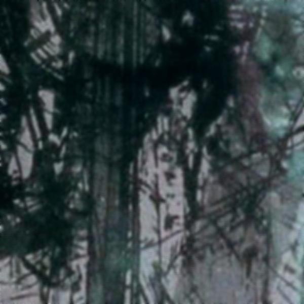 Ficha técnica completa - Surfacing - 2004 | Filmow