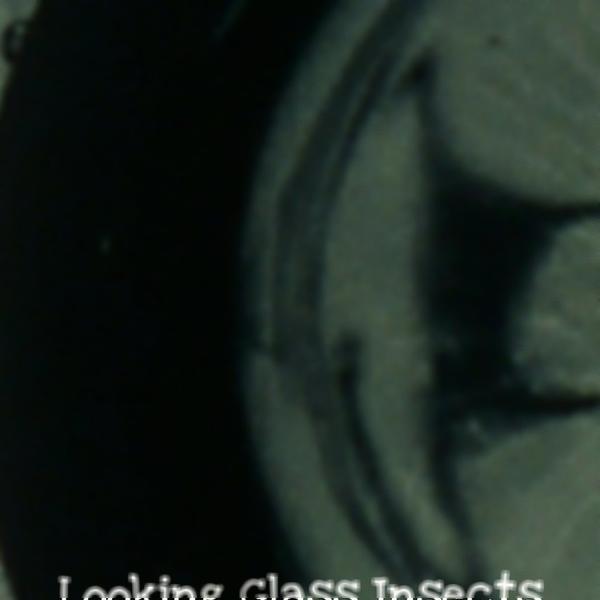 Ficha técnica completa - Looking Glass Insects - 2013 | Filmow