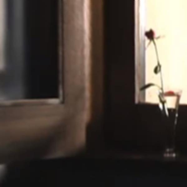 Ficha técnica completa - Rosecolored Flower - 2002 | Filmow