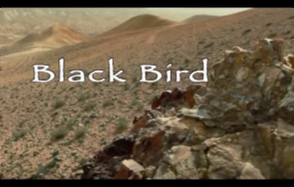 Black Bird - 2015 | Filmow