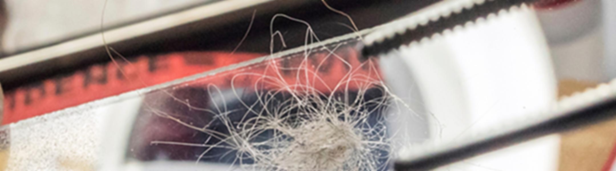 Ficha técnica completa - People Magazine Presents: Crimes of the 2000s ...